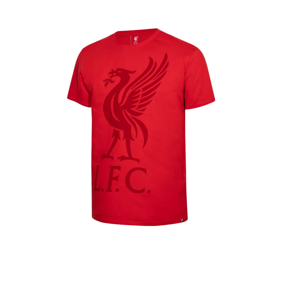 LFC Liverbird เสื้อยืดผู้ชาย | ลดสูงสุด 61% | SUPERSPORTS