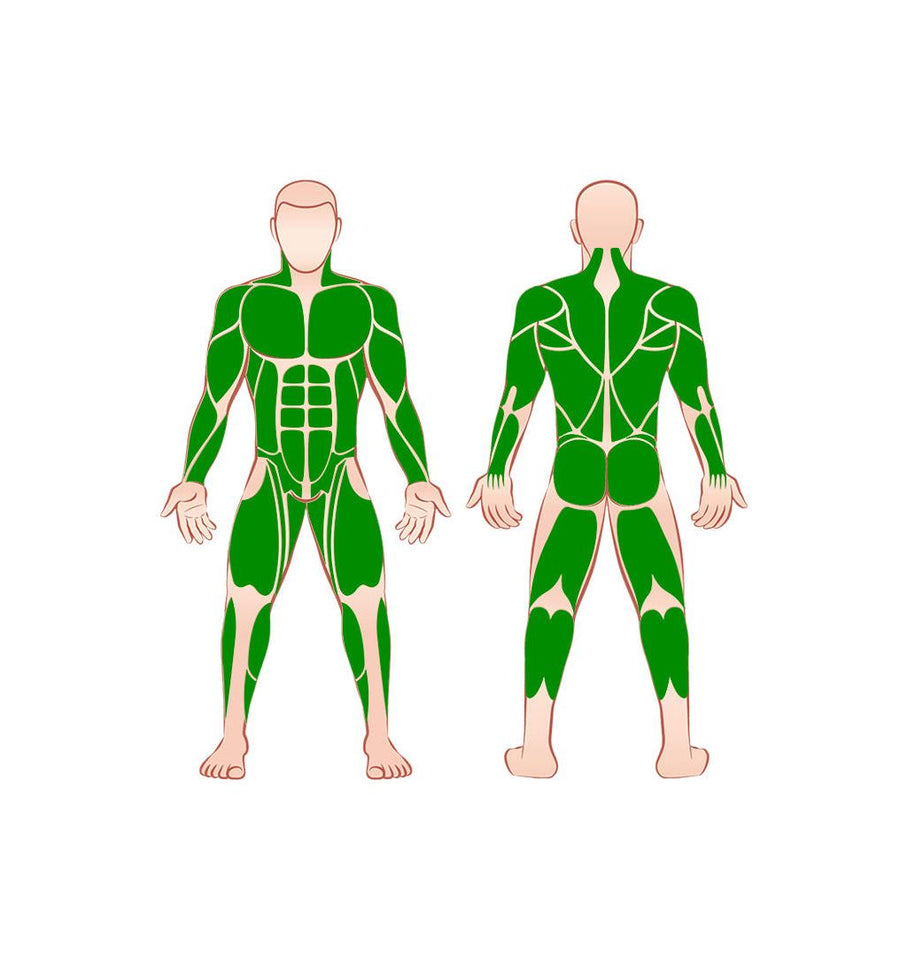 Powertube Ultimate ยางยืดออกกำลังกาย | ลดสูงสุด 71% | SUPERSPORTS